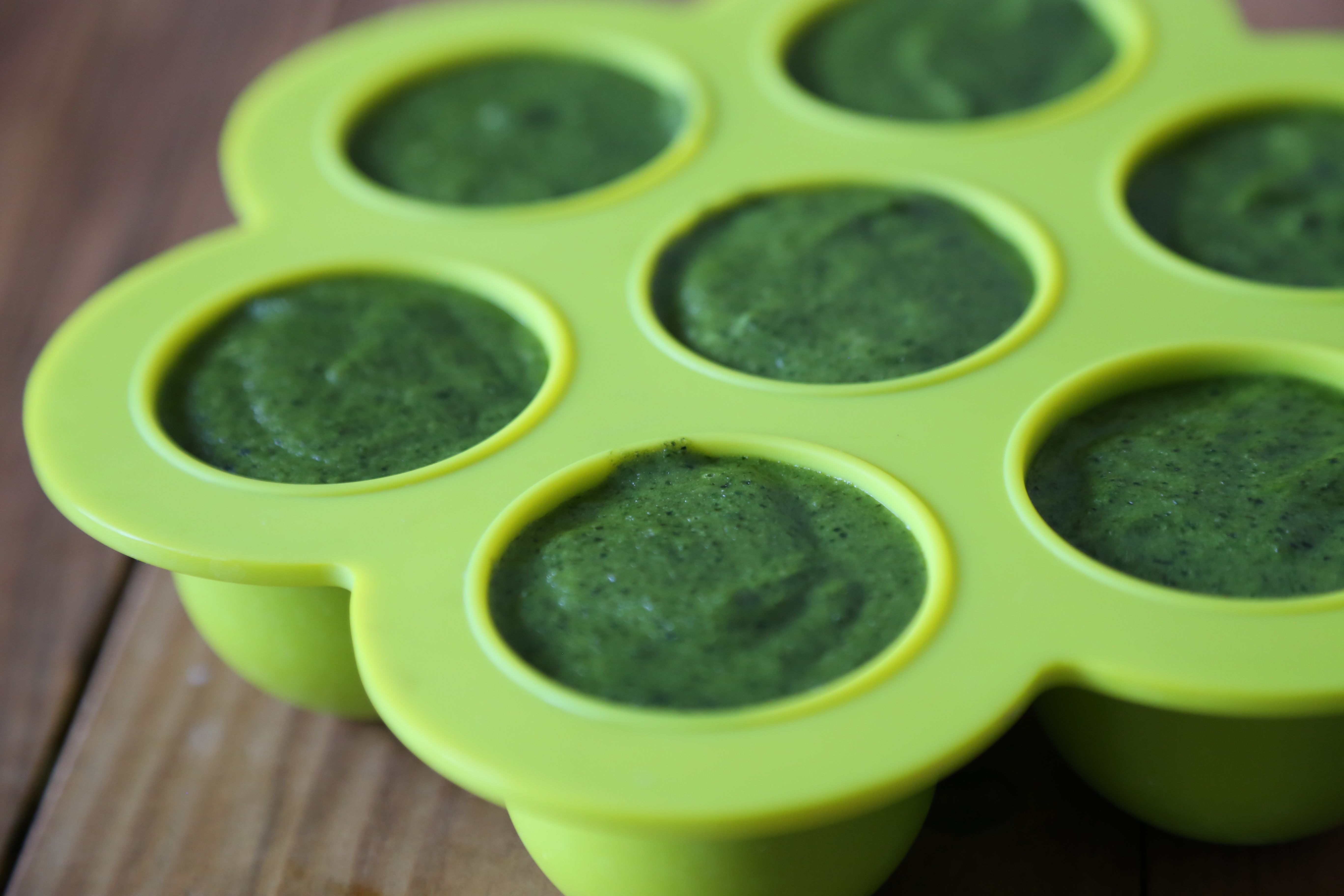 Storing and Reheating Baby Food Safely – PETIT WORLD CITIZEN