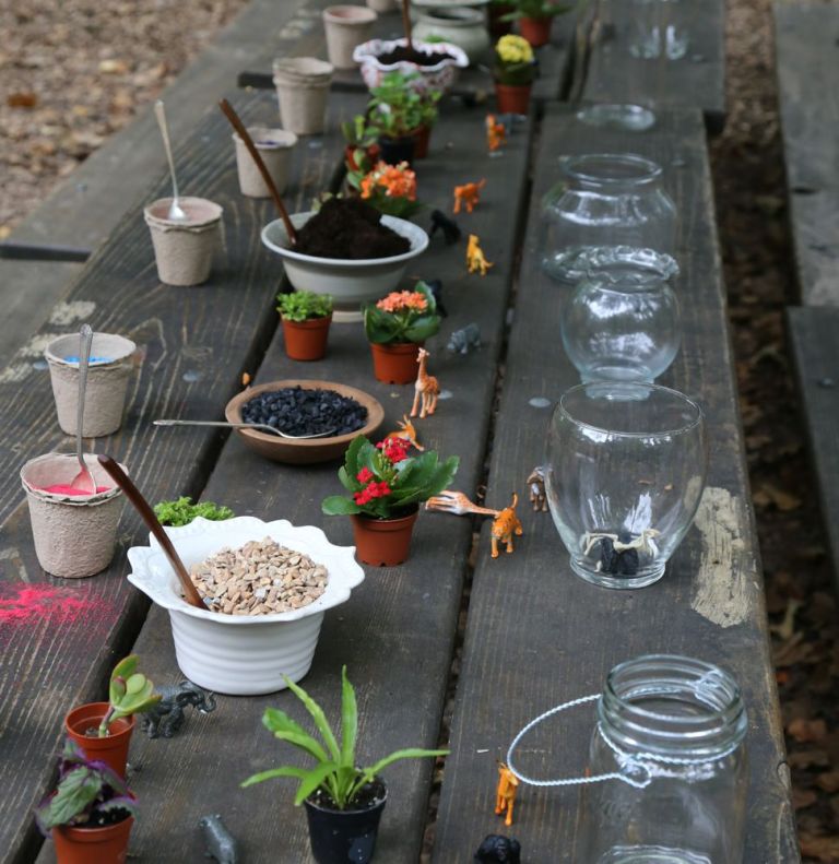 A Terrarium Workshop Birthday Party – PETIT WORLD CITIZEN