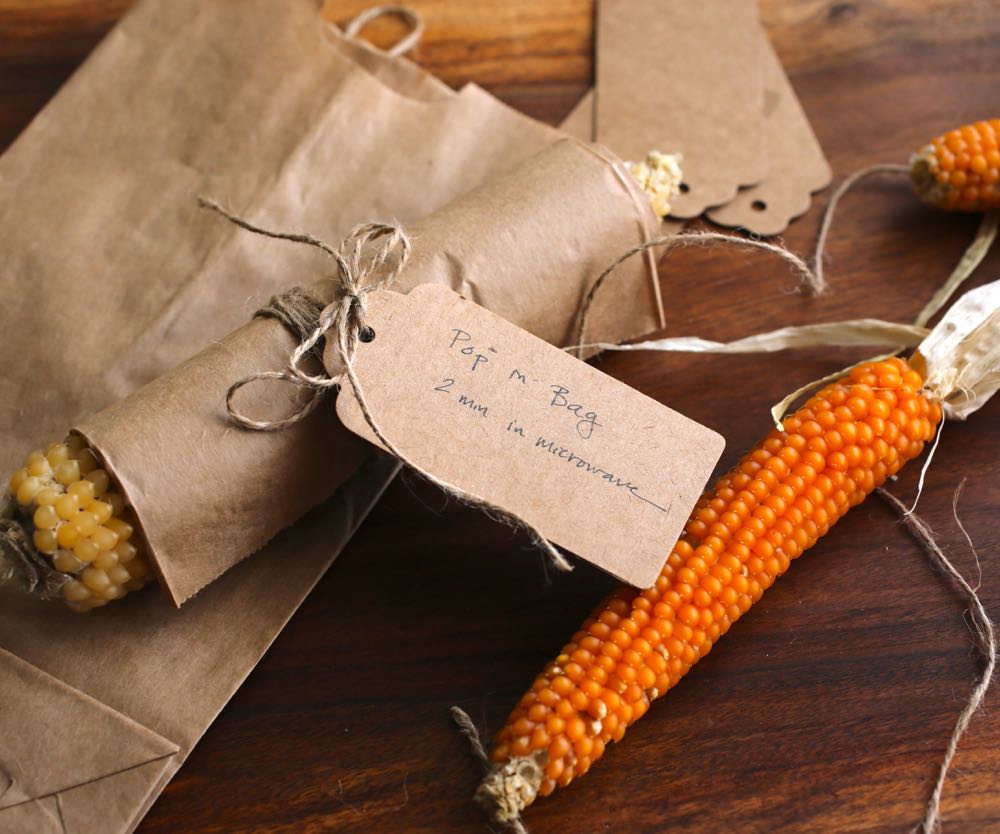 DIY:Popping Corn from the Cob – PETIT WORLD CITIZEN