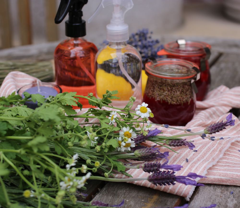 DIY:Lavender Vinegar Multipurpose Cleaner – PETIT WORLD CITIZEN